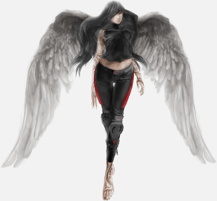 | 보유브랜드/감지